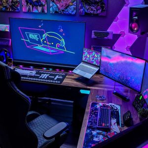 Gaming: HavokHarakiri Anime Gaming Rig - Sharook