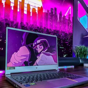 Gaming: HavokHarakiri Anime Gaming Rig - Sharook