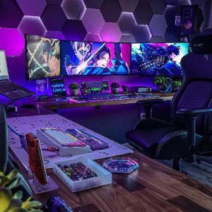 Gaming: HavokHarakiri Anime Gaming Rig - Sharook